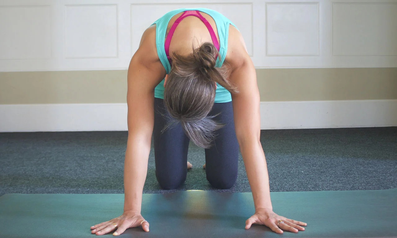 Cat/Cow — Yoga Engineer